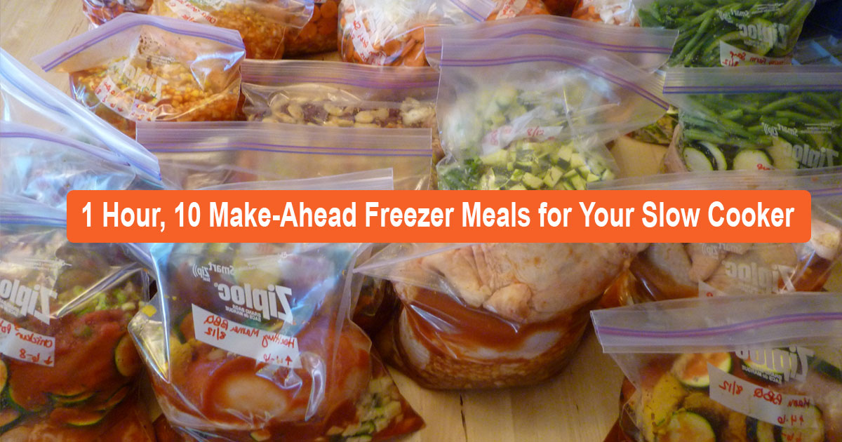 1 hour, 10 meals : Freeze-ahead recipes for the slow cooker your family ...