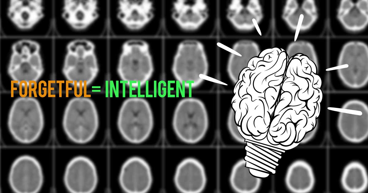 Scientists Say That Being Forgetful Is Actually A Sign You Are ...