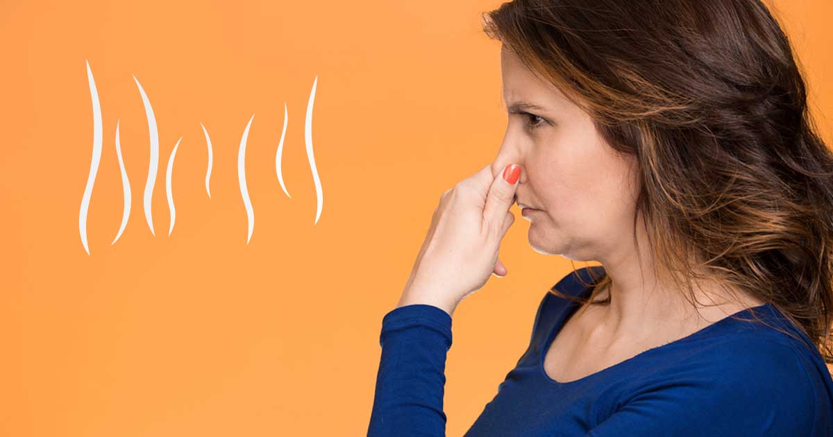 7 Easy Ways To Remove Stubborn Odors From Your Home