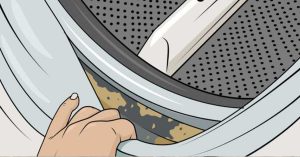 How to Remove Dangerous Mold and Unpleasant Odors from Your Washing ...