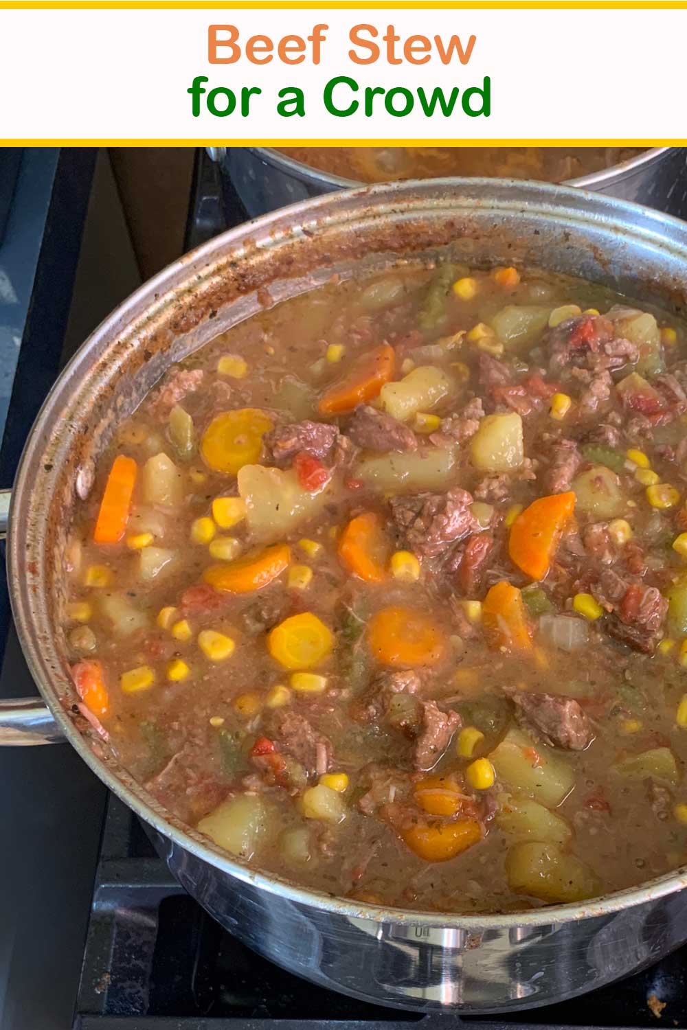 Beef Stew for a Crowd