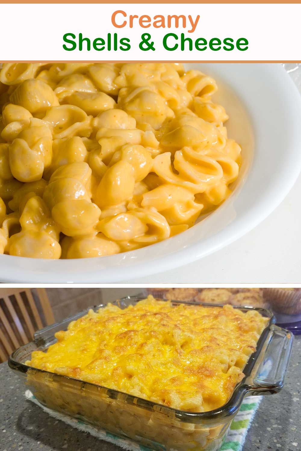 Creamy Shells & Cheese