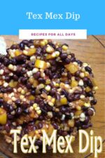 Tex Mex Dip
