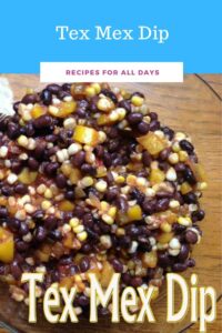Tex Mex Dip