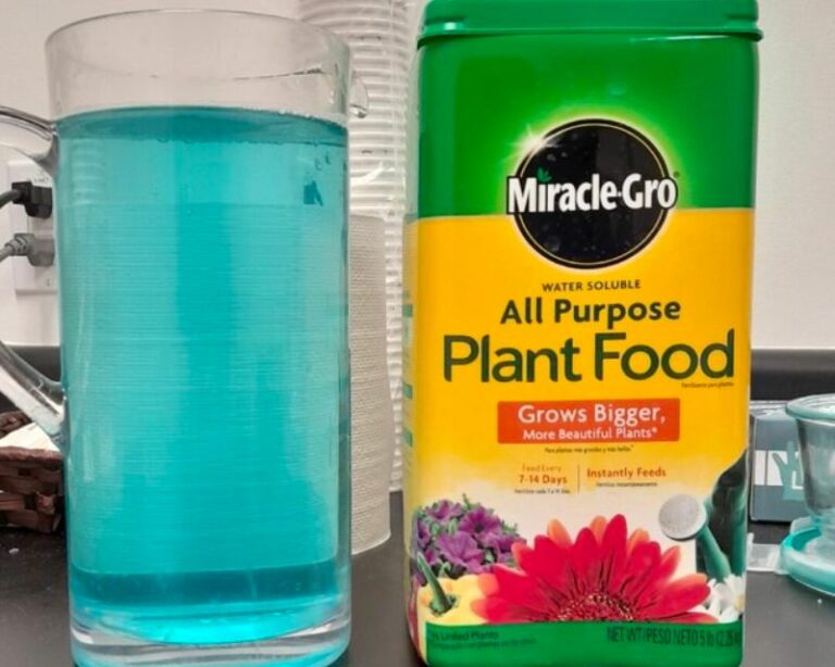 Beyond the Drink: Over 40 Ingenious Kool-Aid Hacks