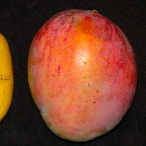 How to Prepare a Mango: The Ultimate Guide for Perfect Results